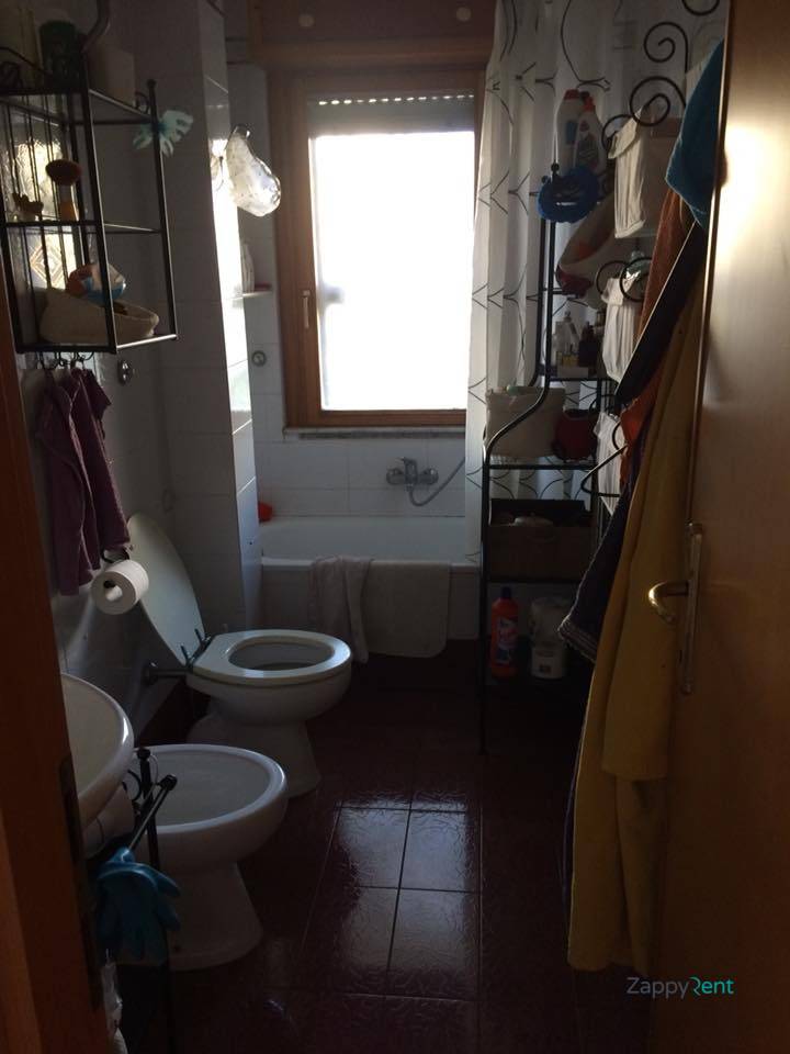 Affitti Roma: Case e Appartamenti in affitto da Privati | ZappyRent